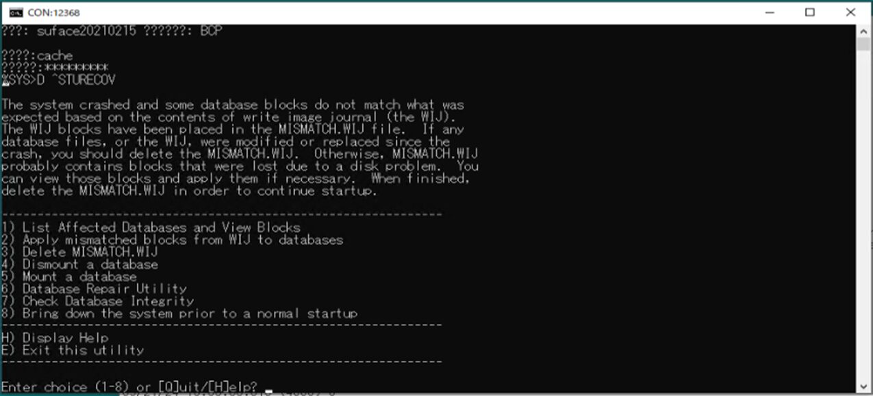 【IRIS/Cache】エラーで起動しない時の対処方法 | そここの雑記帳
